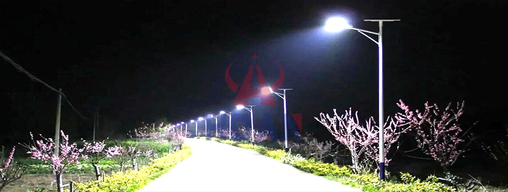 Solar Street Lights save energy significantly on rural roads in India
